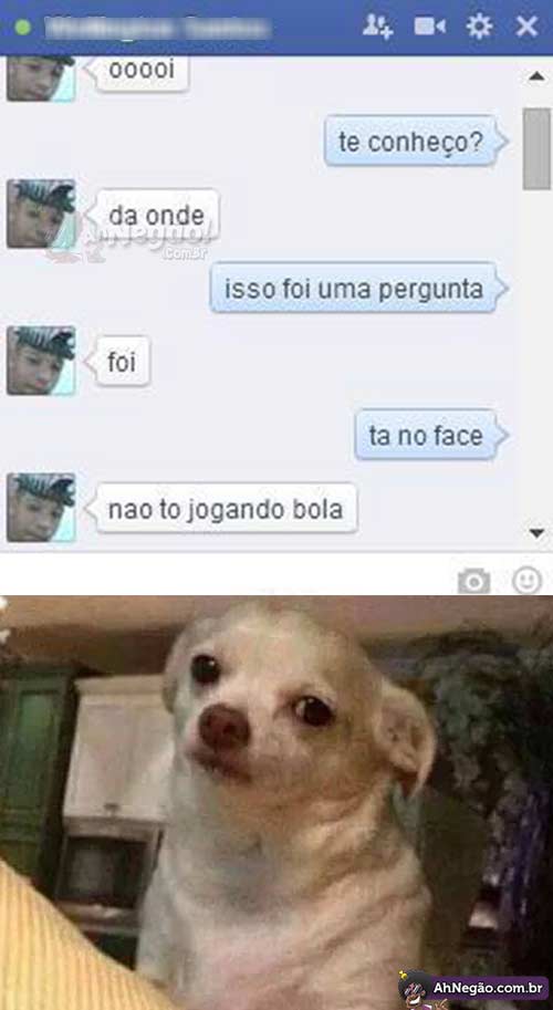 As crônicas de Brisolo - Episódio V: o face contra-ataca