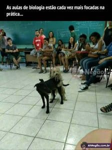 As aulas práticas estão cada vez mais práticas