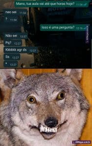 As Crônicas de Brisolo: Quando a pessoa vai respondendo e morrendo