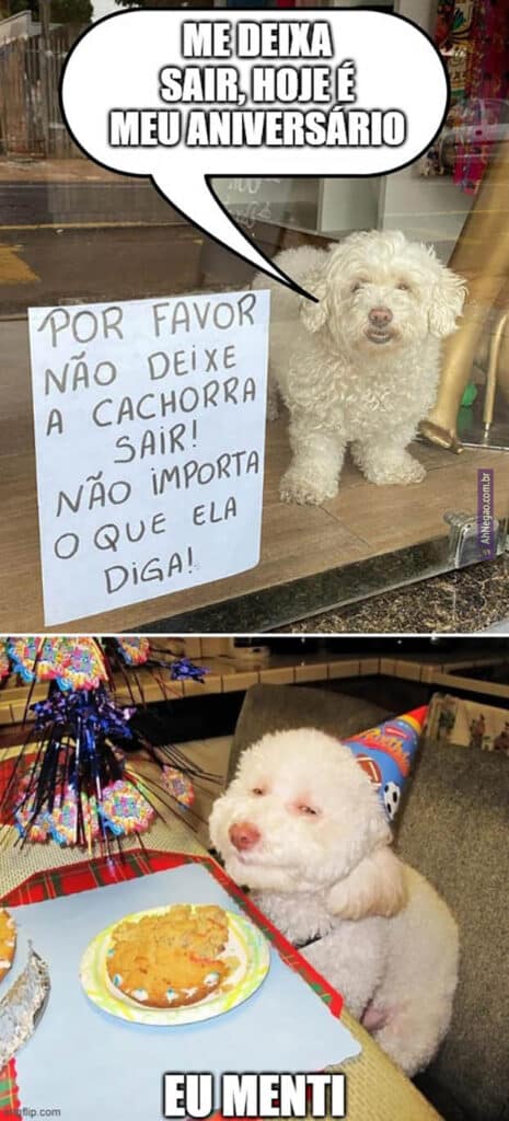 Coletânea de memes aleatórios de quarta-feira (#92)