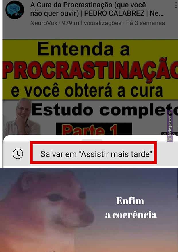 Coletânea de memes aleatórios de sábado (#100)